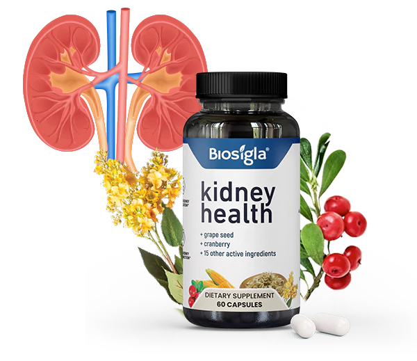 Kidney health | Flush Out Toxins From Your System. Soothe Your Kidney ...